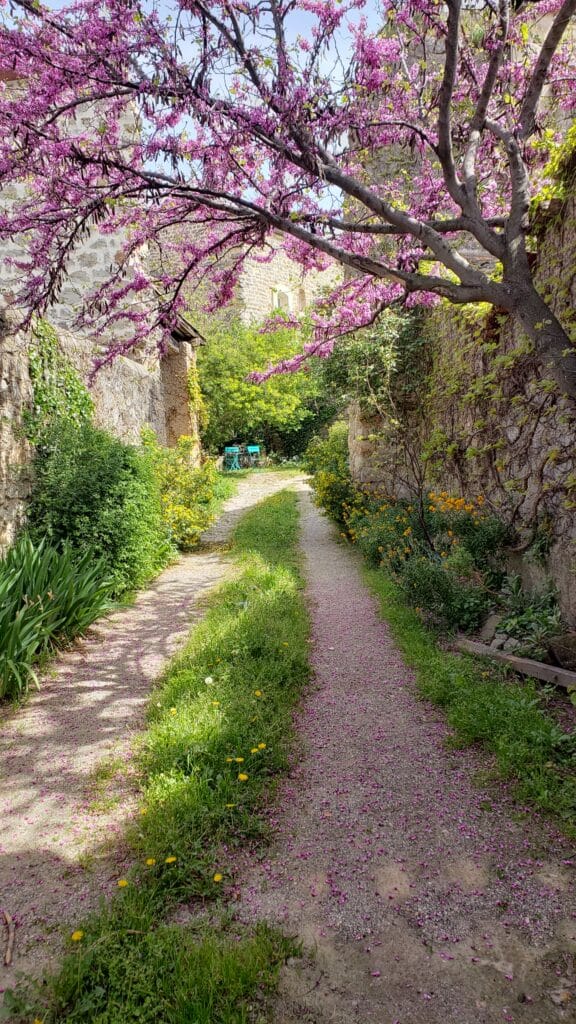 France - International Property Shares