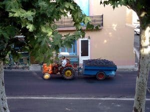 A Travel Guide to Languedoc: Exploring the charm of Occitanie